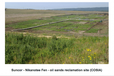 Best Alberta Oil Sands Land Reclamation Photos of 2020
